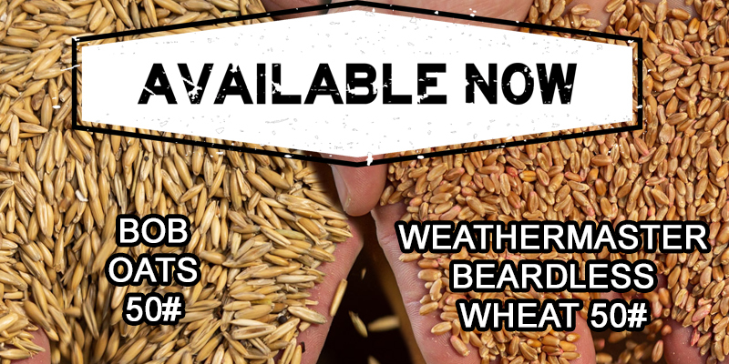 Ranch & Farm Supply | Feed Store & Livestock Supplies | Palmer Feed