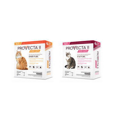 PROVECTA ADVANCED SPOT-ON FOR CATS - Palmer Feed & Supply Inc.