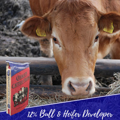 MFM 12% Bull & Heifer Developer 50lb - Pilot Point Feed Store