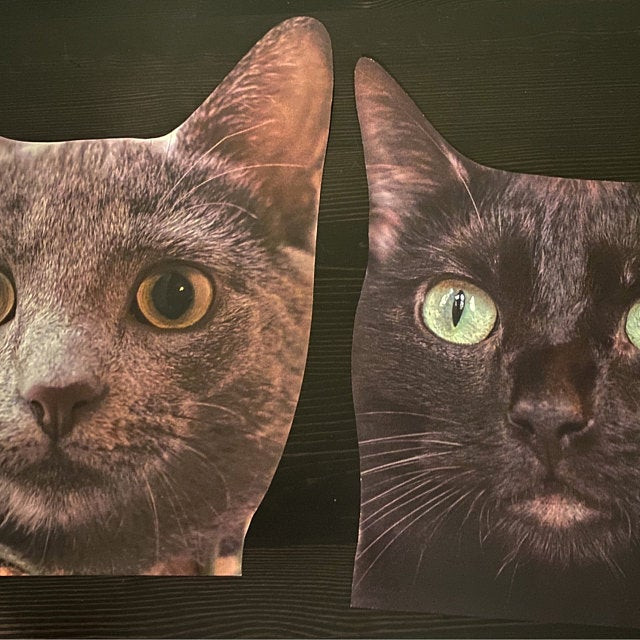 Custom Cat Head Cutouts