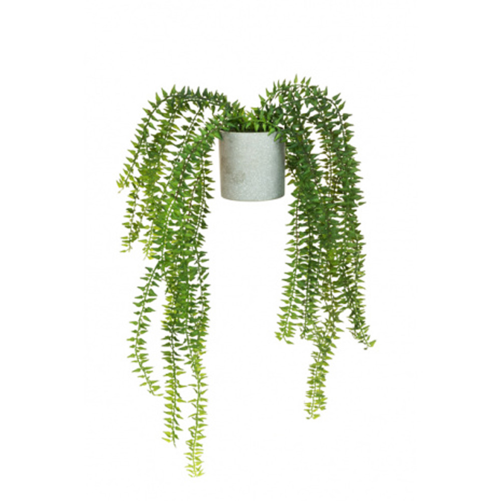 Artificial Succulent Trailing Fern 45cm/17.5 Inches in a Grey Pot