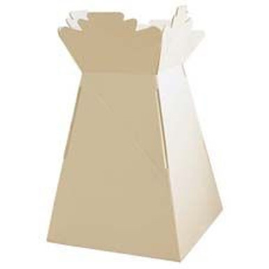 Living Vase Tall Flower Bouquet Delivery Boxes - Pearlised Cream