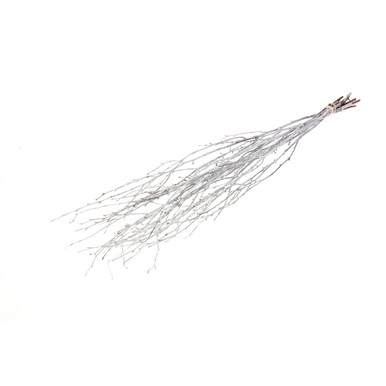 Dried Bunch Dyed Natural Silver Birch Branches 60cm/24 Inches Misty White