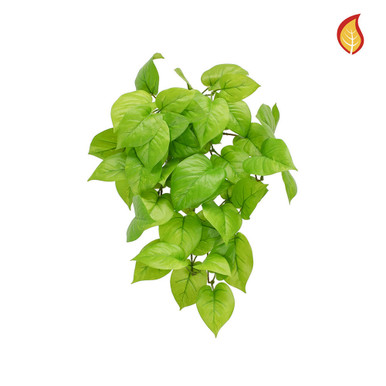Artificial Silk Green Pothos or Devil's Ivy Bush Fire Retardant 51cm/20 ...