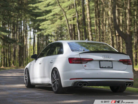 ECS Tuning Carbon Fibre Side Blade Set - B9 A4/S4 - Awesome GTI