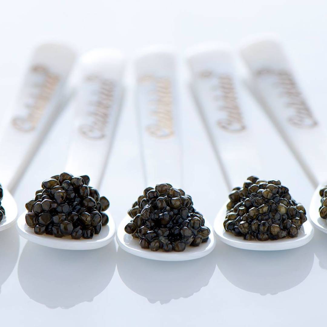 How to Properly Serve and Plate Caviar for Any Occasion - LE GOURMET ...
