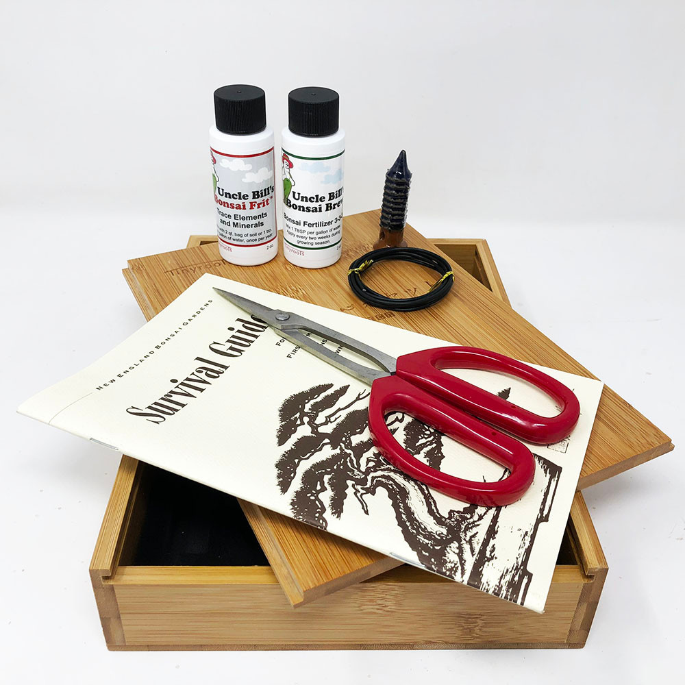 Buy Bonsai Trees: Bonsai Tree Care at BonsaiOutlet.com