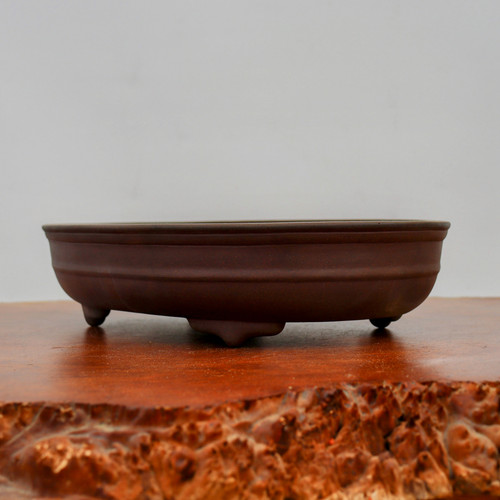 Huge Selection of Japanese Tokoname Bonsai Pots | They sell fast!