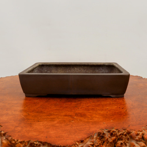 Huge Selection of Japanese Tokoname Bonsai Pots | They sell fast!