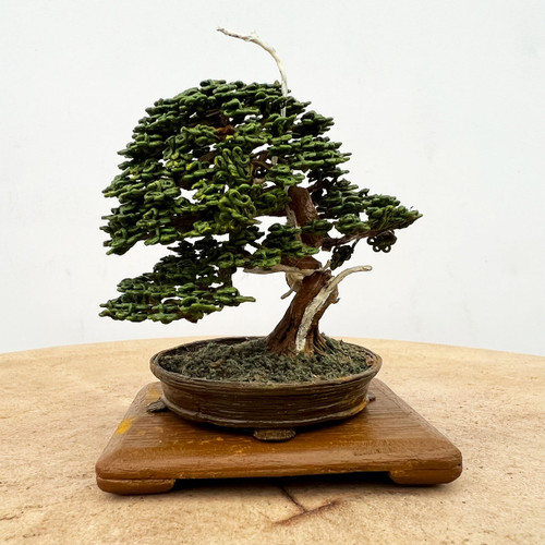 Garden Decor, Bonsai Figurines and Fairy House Supplies | Bonsai Outlet