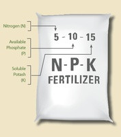 Peeling Back The NPK Mystery: N-P-K Explained - Bonsai Outlet