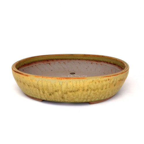 One-of-a-kind Sara Rayner Pot | Bonsai Outlet