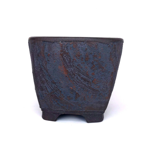 One-of-a-kind Sara Rayner Pot | Bonsai Outlet