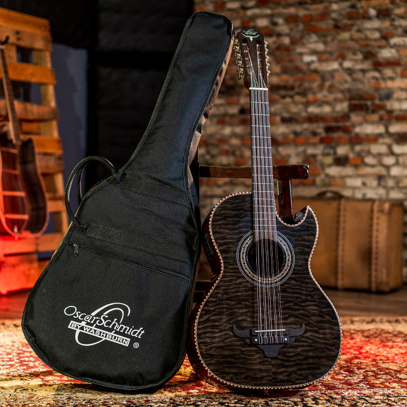 1950s Hollywood Bajo Quinto Conversion 1960s Hoyer 12 String/10 String