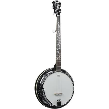 Ibanez B300 5-String Banjo, with Walnut Resonator - Natural High Gloss ...