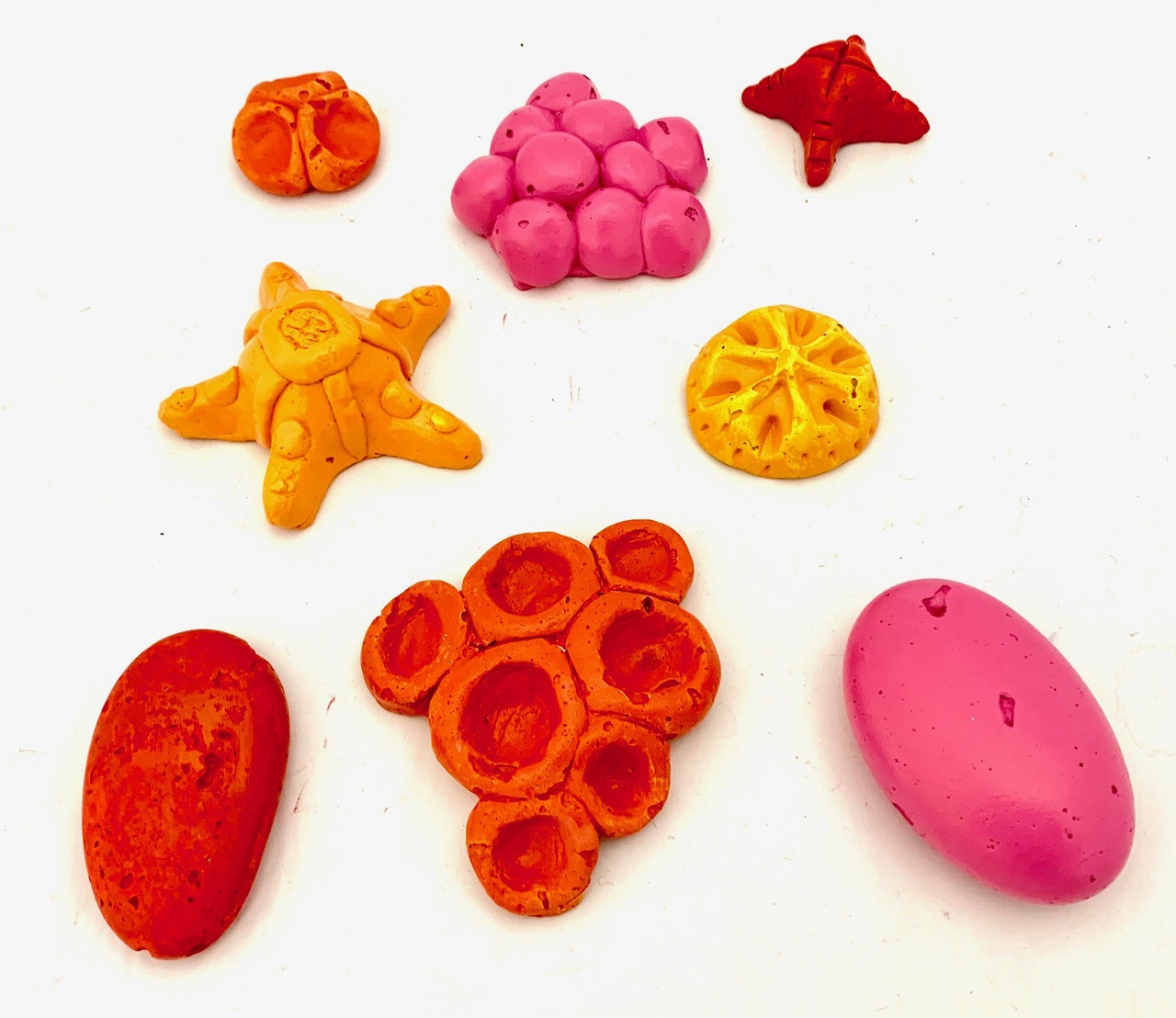 Paper Mache Sea Shapes Hot/8pc - Papoose Toys Pte Ltd