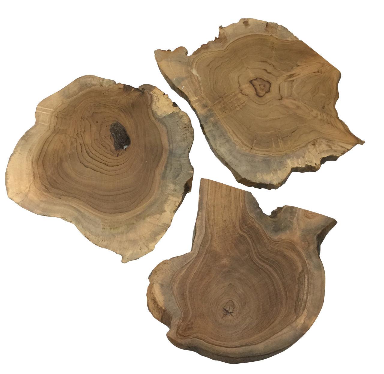 Wood Scape Slices/3 - Papoose Toys Pte Ltd