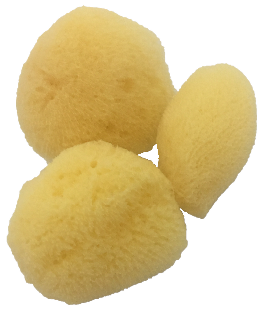 Natural Sponge 'Silk' 5cm/3pc - Papoose Toys Pte Ltd