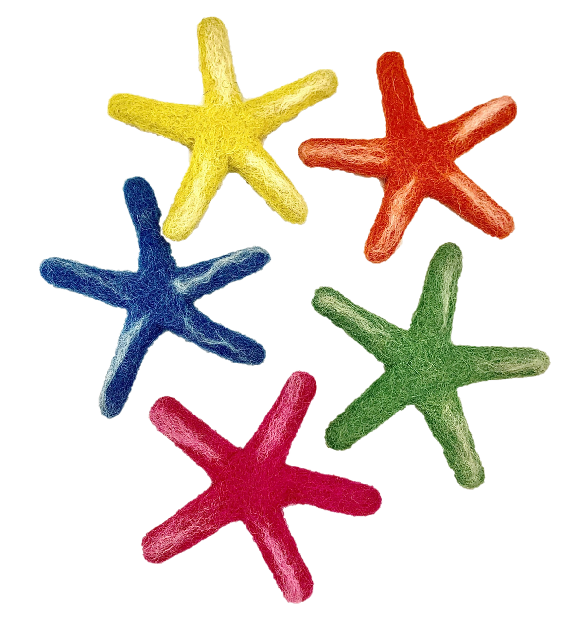 Sea Star Laevigata5pc Papoose Toys Pte Ltd