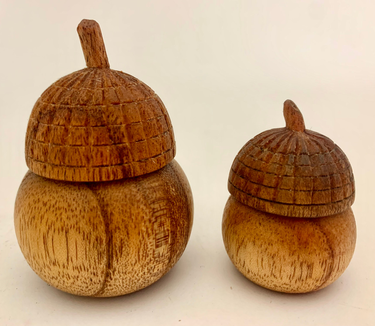 Mini WW Acorn Pots S+L Jempinis - Papoose Toys Pte Ltd