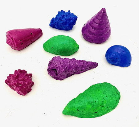 Paper Mache Shells Cool/8pc - Papoose Toys Pte Ltd