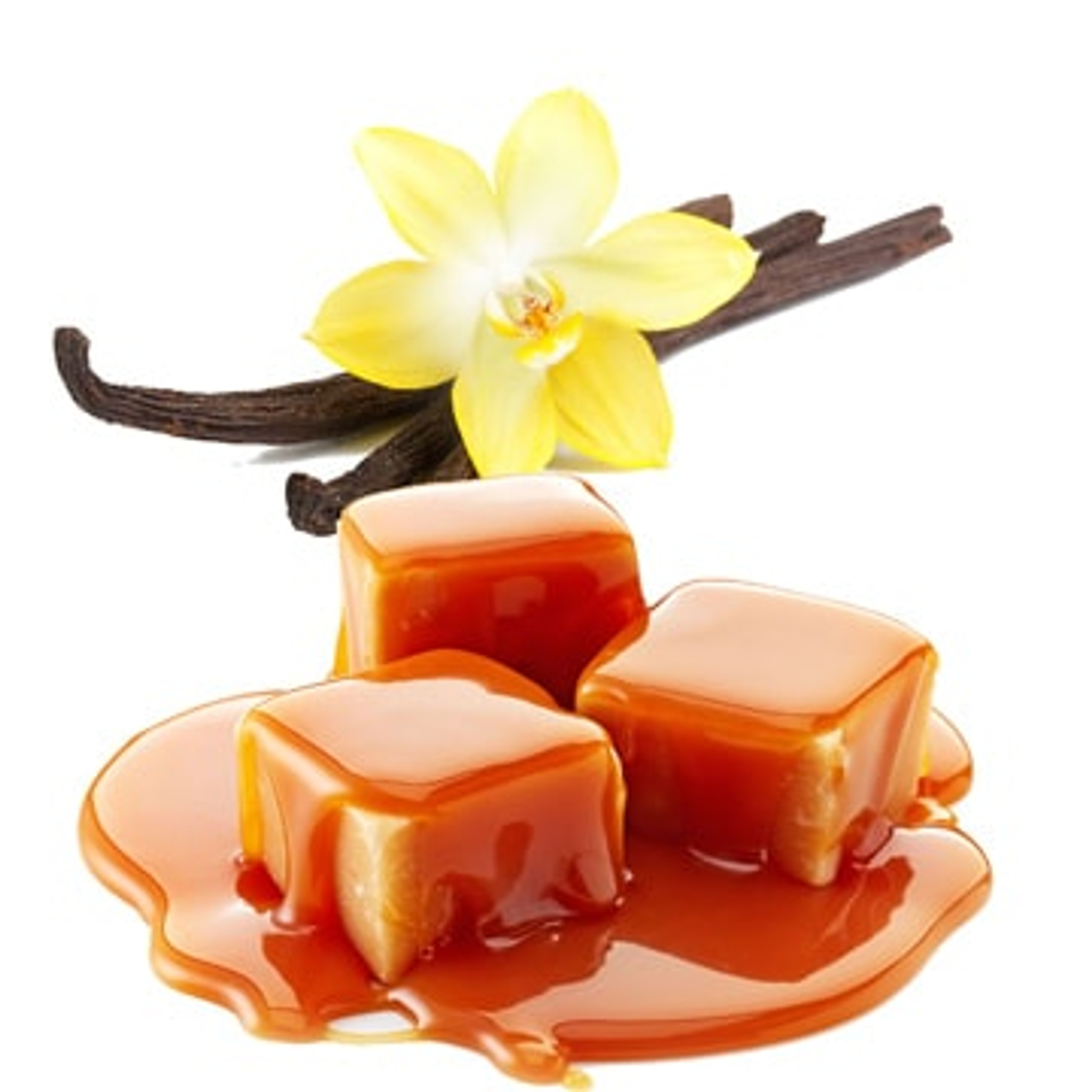 Vanilla Caramel Fragrance Oil