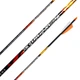 Target Arrows: Top-Quality Selection for Precision Shooting