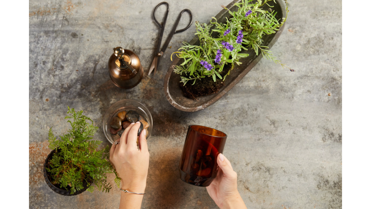 WoodWick Candles Ginger & Turmeric ReNew Medium Jar