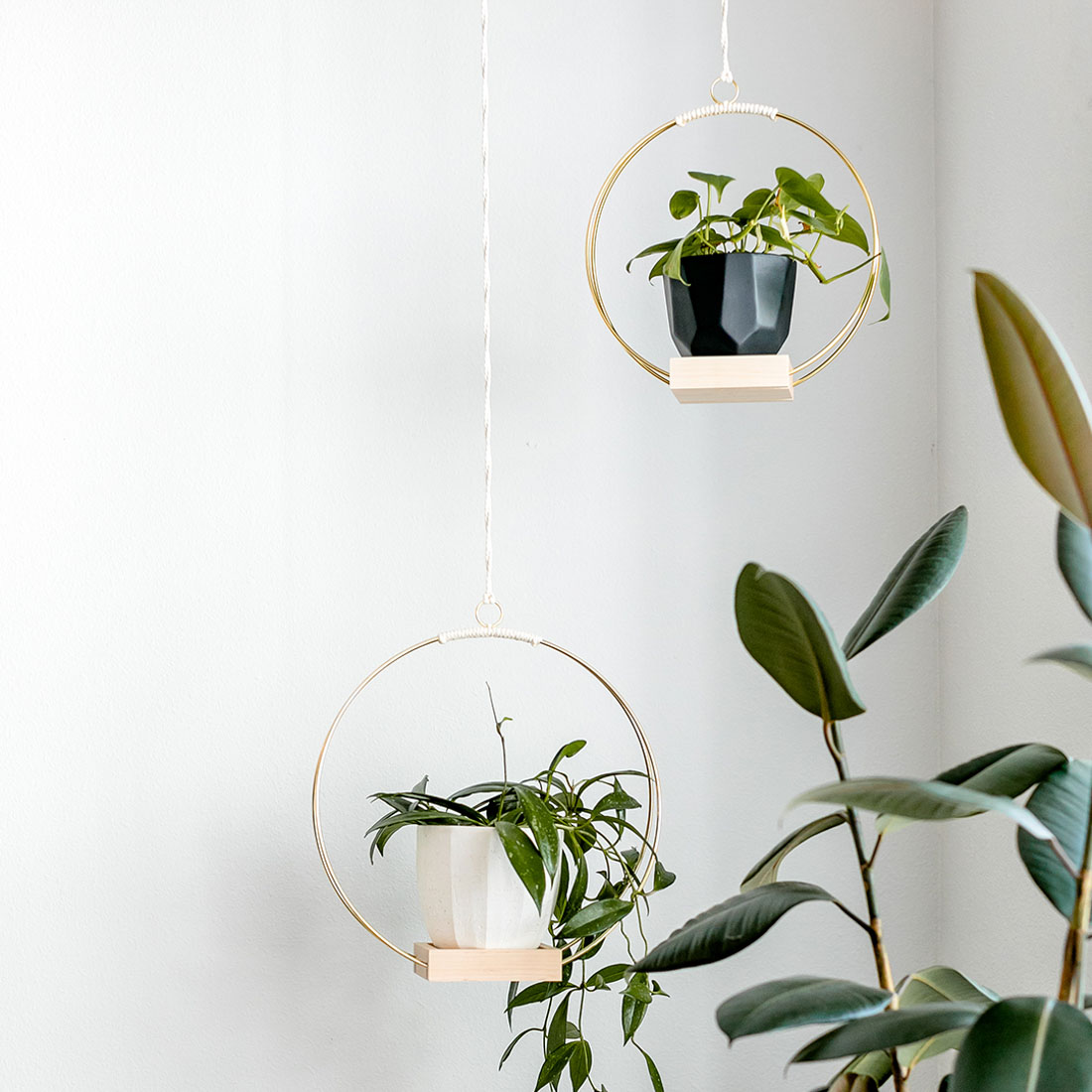Braid & Wood Classic Shimmer Plant Hanger - Medium