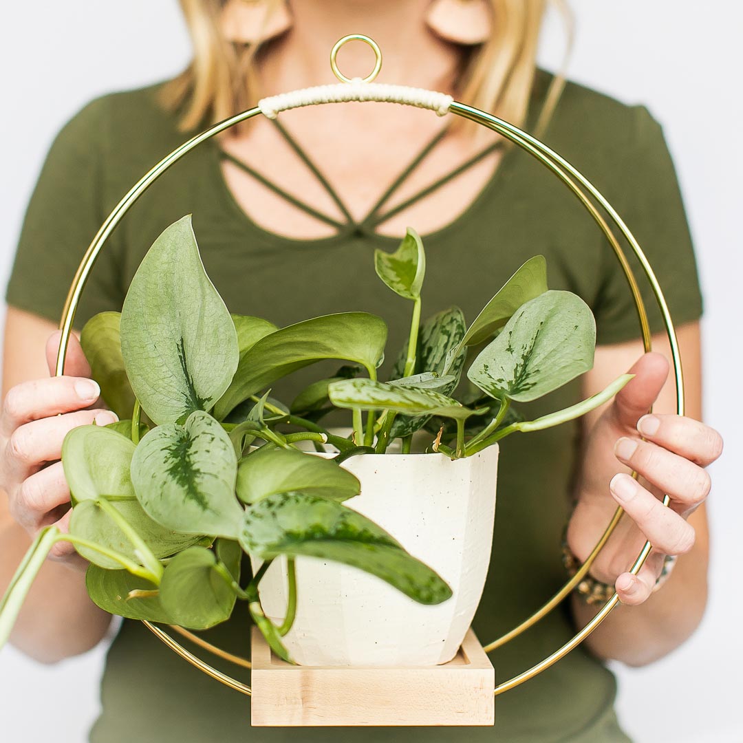 Braid & Wood Classic Shimmer Plant Hanger - Large