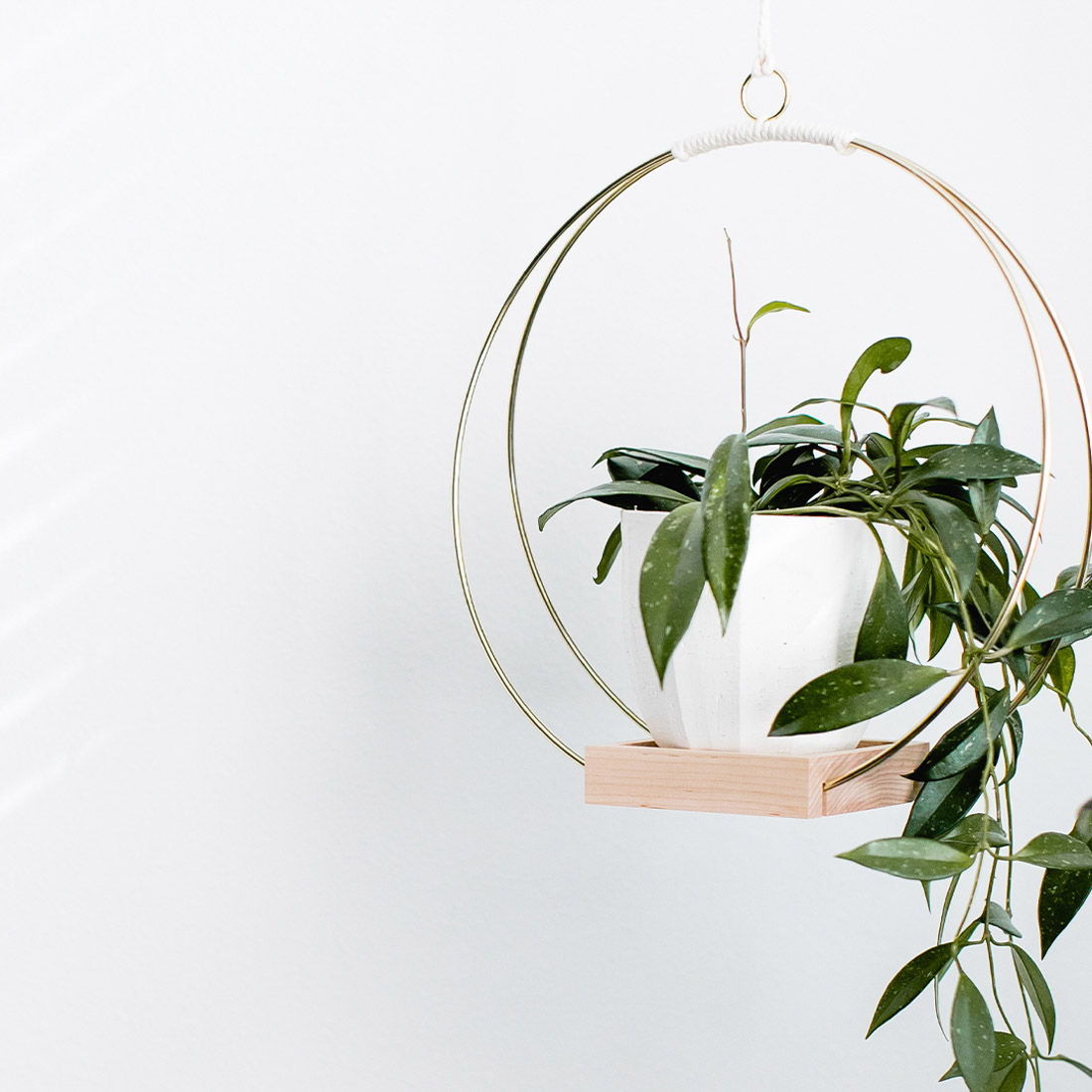 Braid & Wood Classic Shimmer Plant Hanger - Large