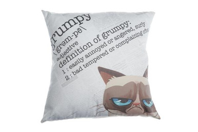 Grumpy Cat Grumpy Cat Square Pillow - Definition of Grumpy-The Lamp Stand