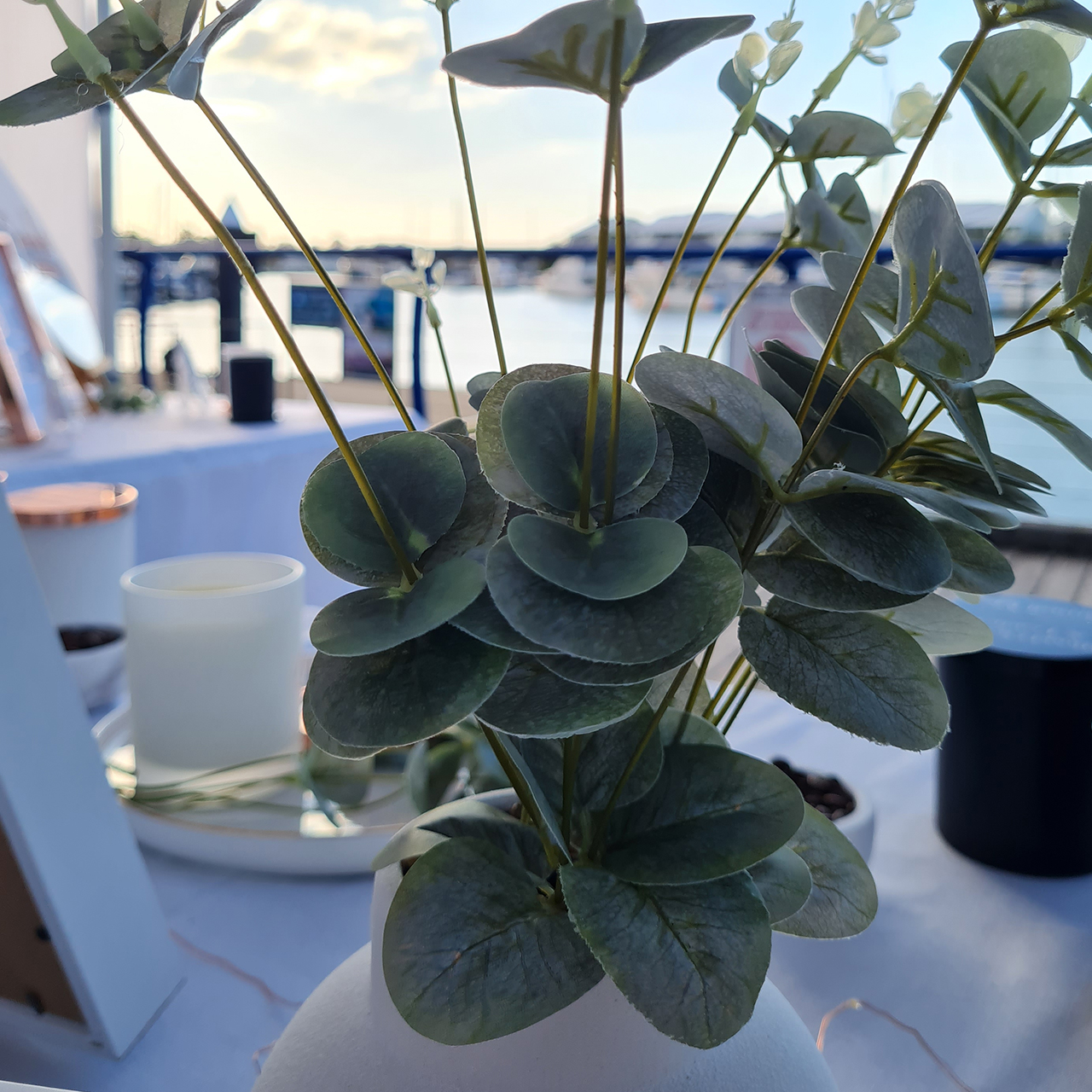 Why markets are important - Sonhe Collective