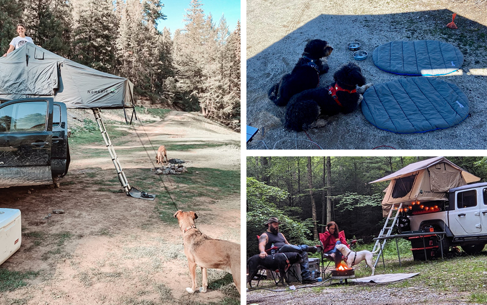 The Great Outdoors with Your Dog - Overland Vehicle Systems