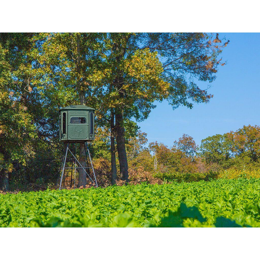Redneck Buck Palace Platinum 6x6 360 Box Blind - Presleys Outdoors