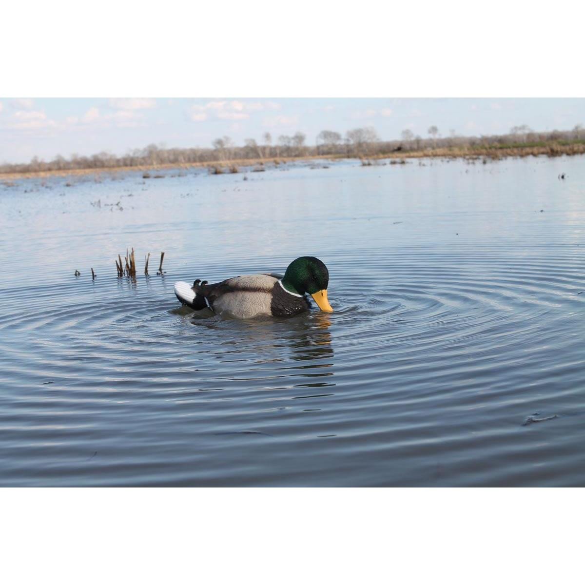 MOJO Rippler Motion Decoy - Presleys Outdoors