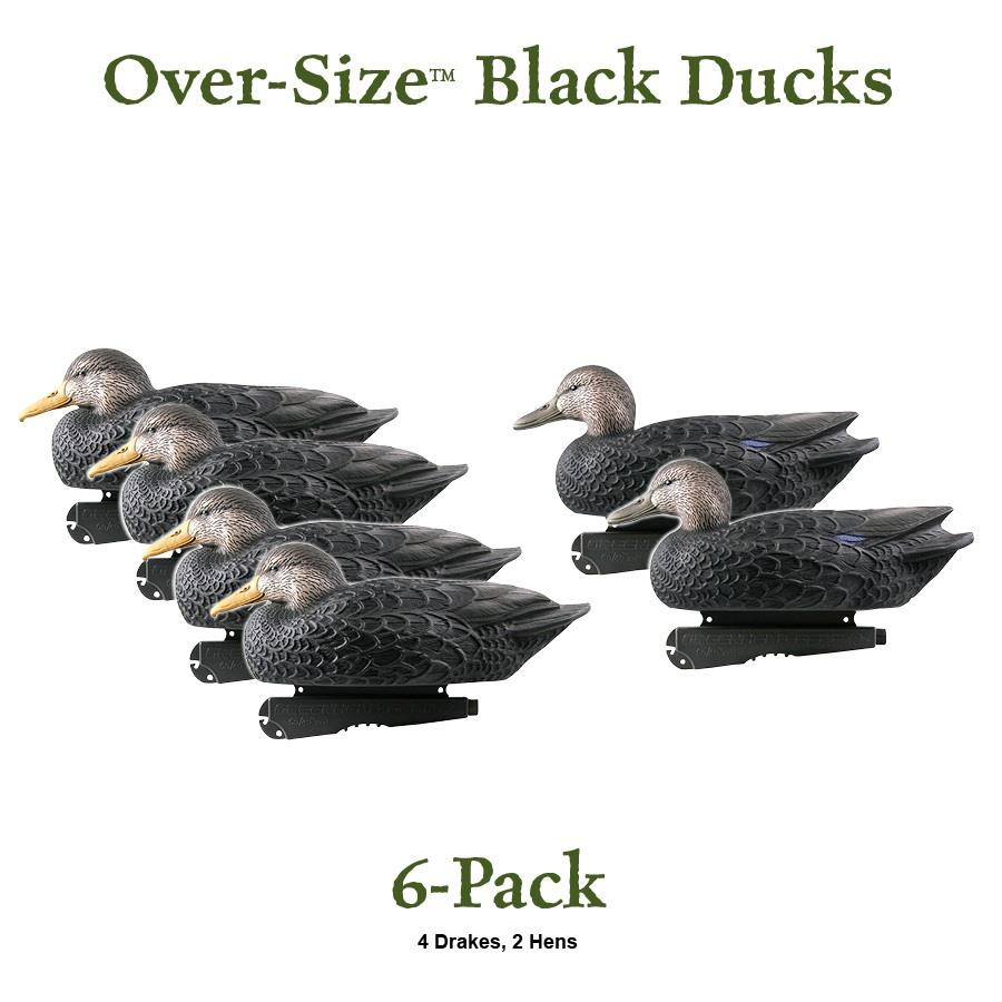 Avery GHG Over Size Black Duck Floater Decoys - 6pk - 73015 - Presleys ...