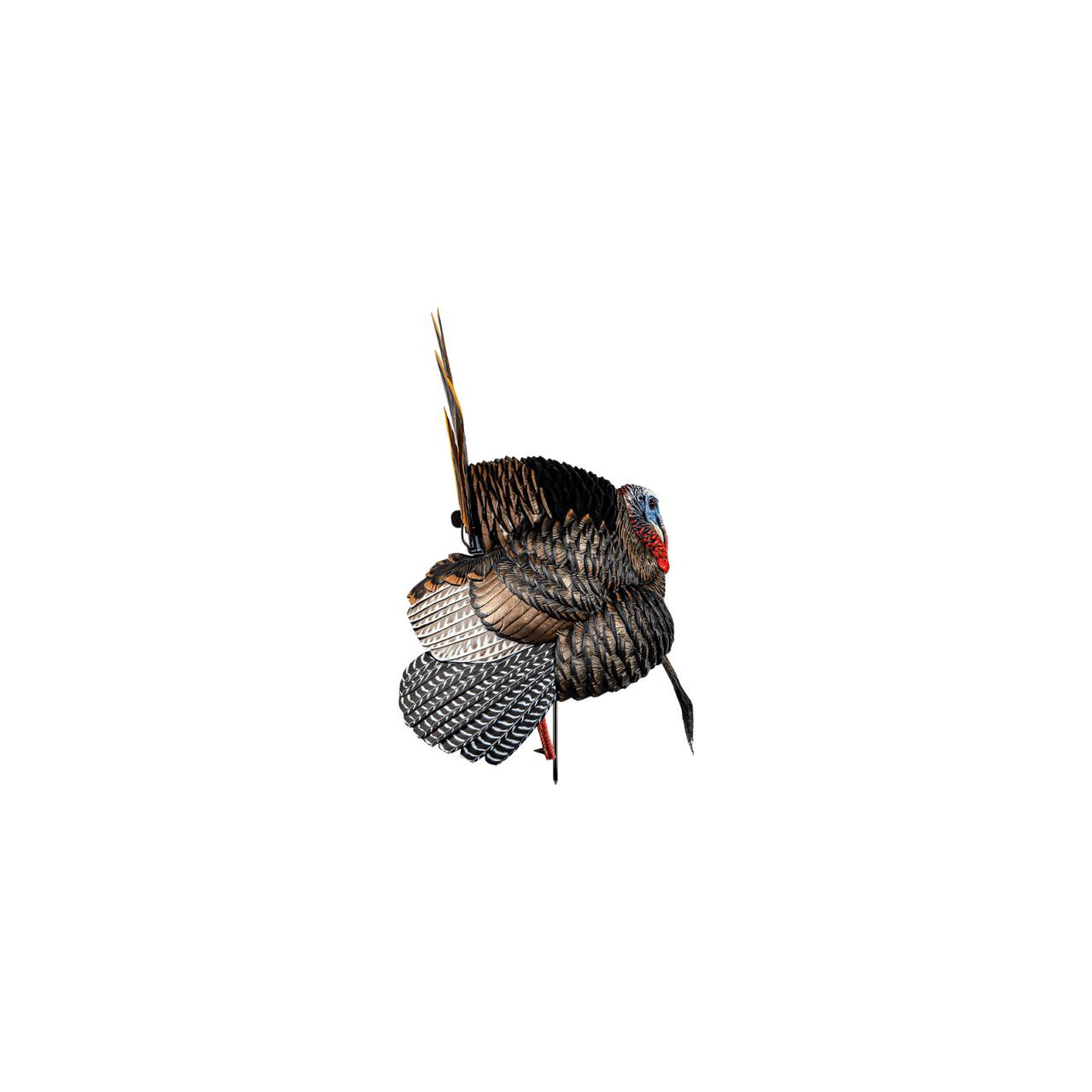 Avian-X HDR Tom Strutter Turkey Decoy - Presleys Outdoors