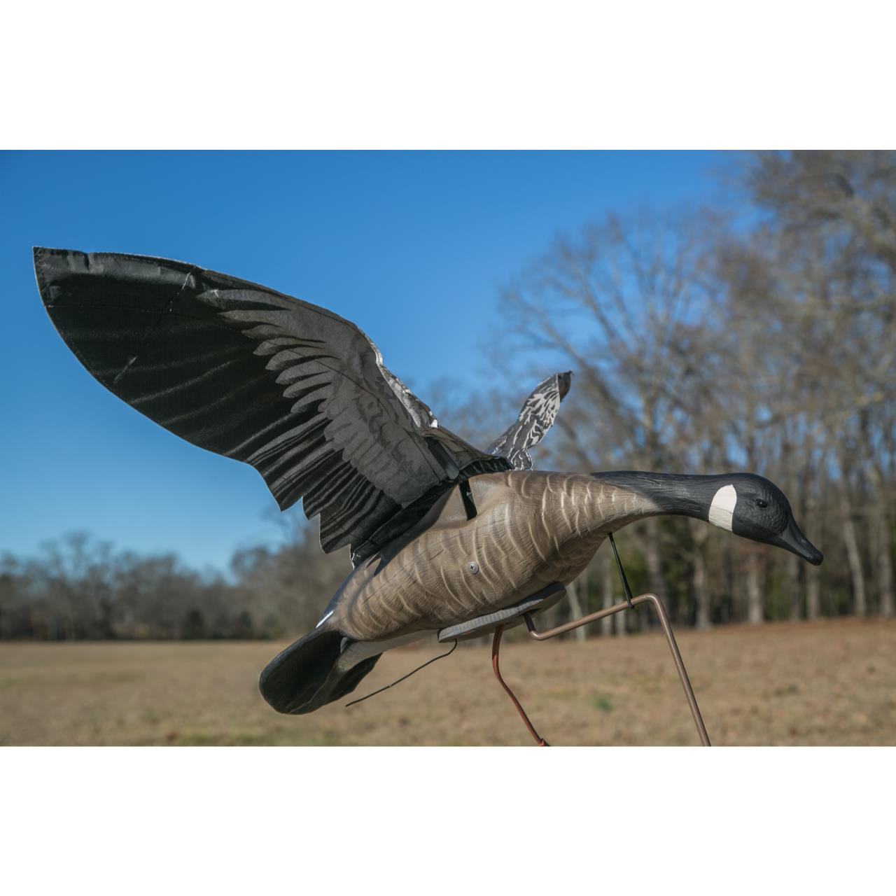 Clone Decoys Clone Canada Goose Motorized Decoy - Presleys Outdoors