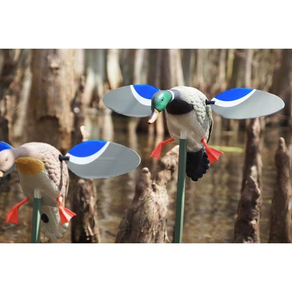 MOJO Magnetic Wing Set for Baby Mojo or Mojo Floater - Presleys Outdoors
