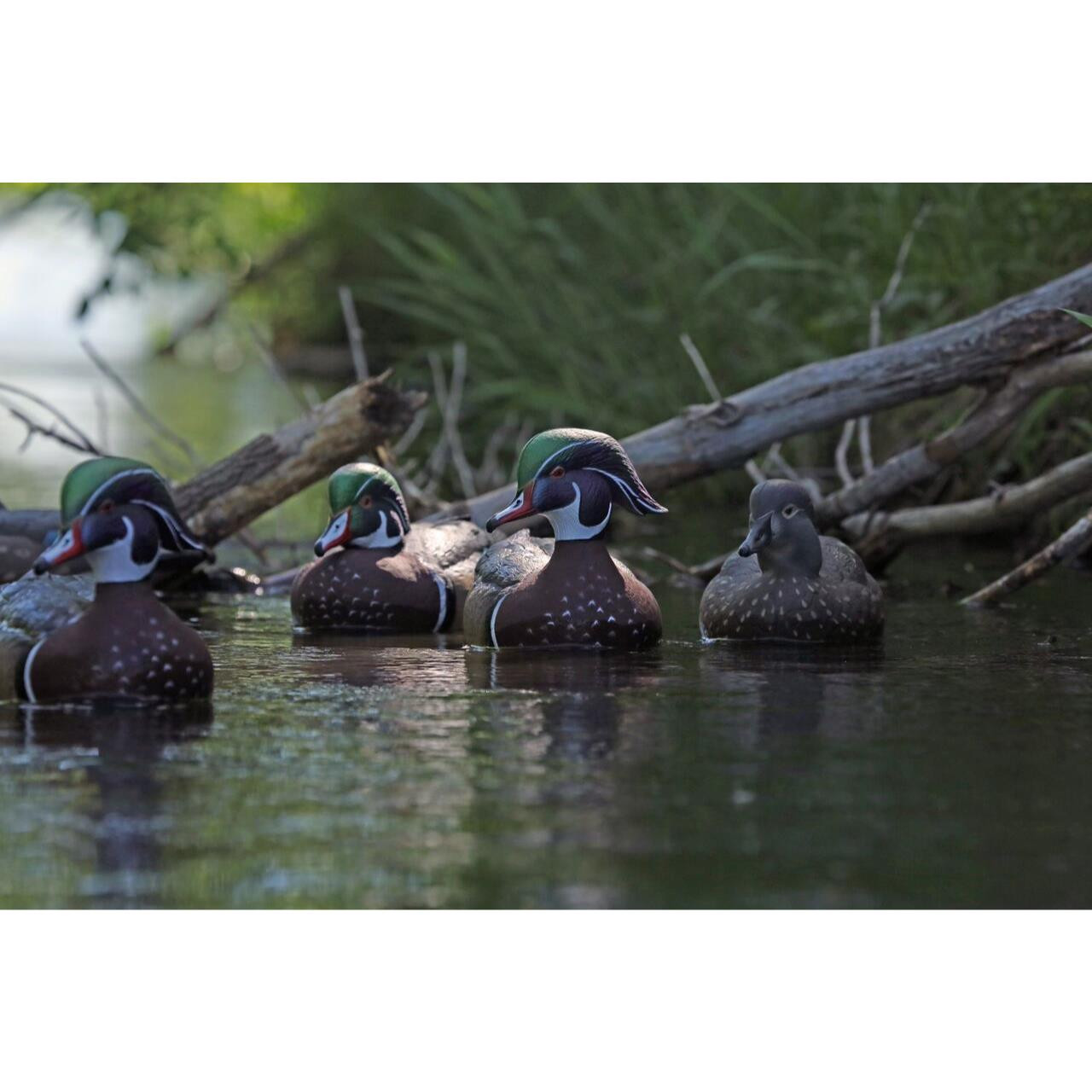 Avery GHG Pro Grade Wood Duck Floater Decoys - 6pk - 73135 - Presleys ...