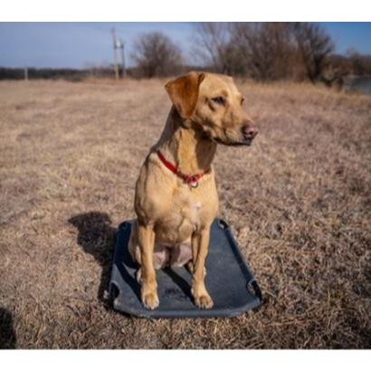 Lucky Duck Kennel Cot - Presleys Outdoors