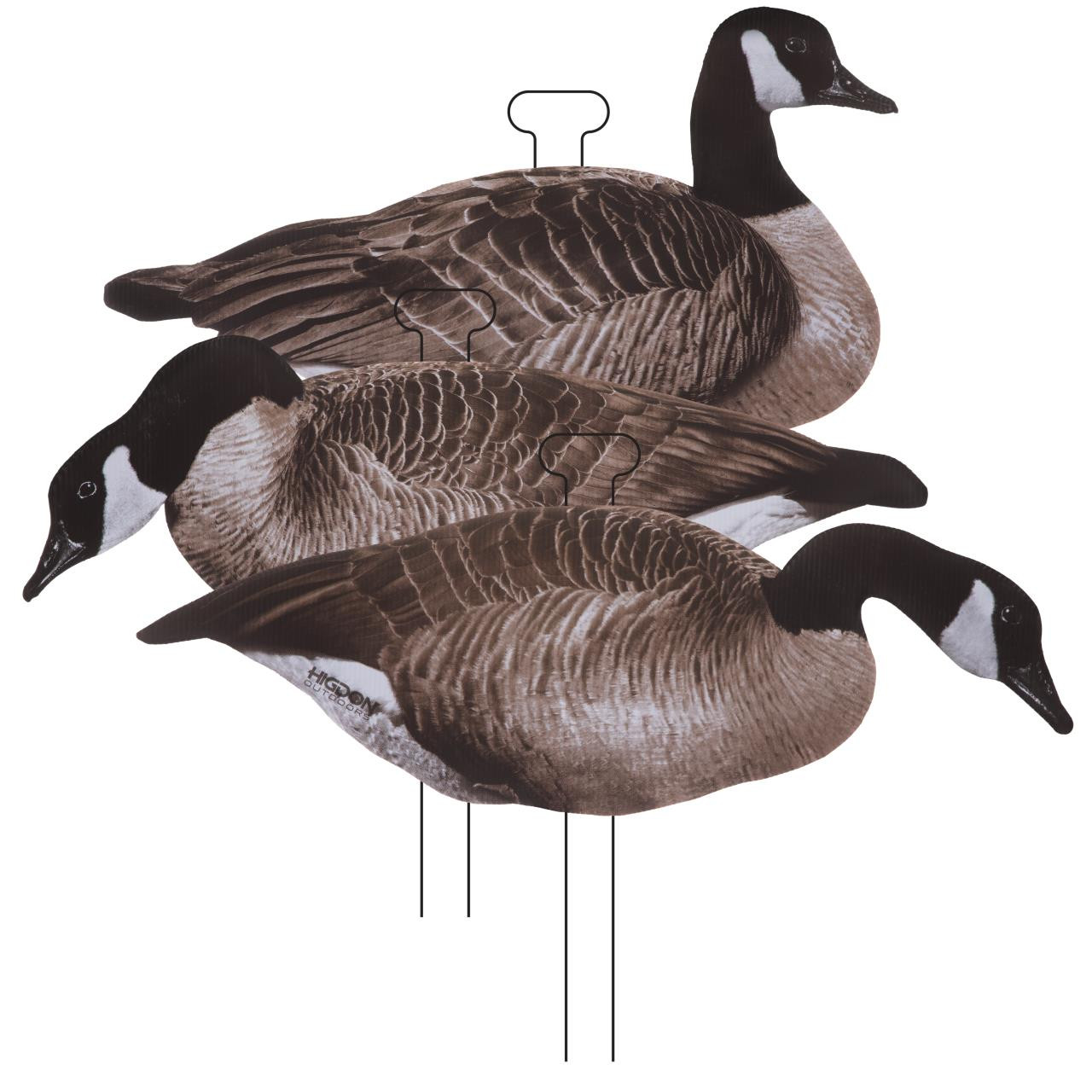 Higdon Outdoors Flats Magnum Canada Goose- 1 Dozen Silhouettes ...