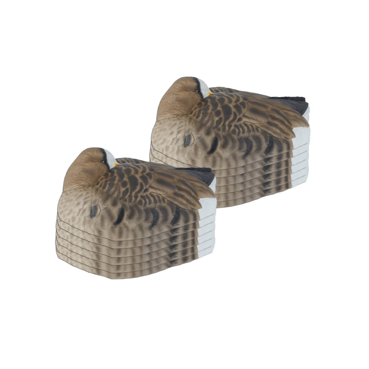 Avery GHG Pro Flex Series Specklebelly Goose Sleeper Shell Decoys- 1 ...