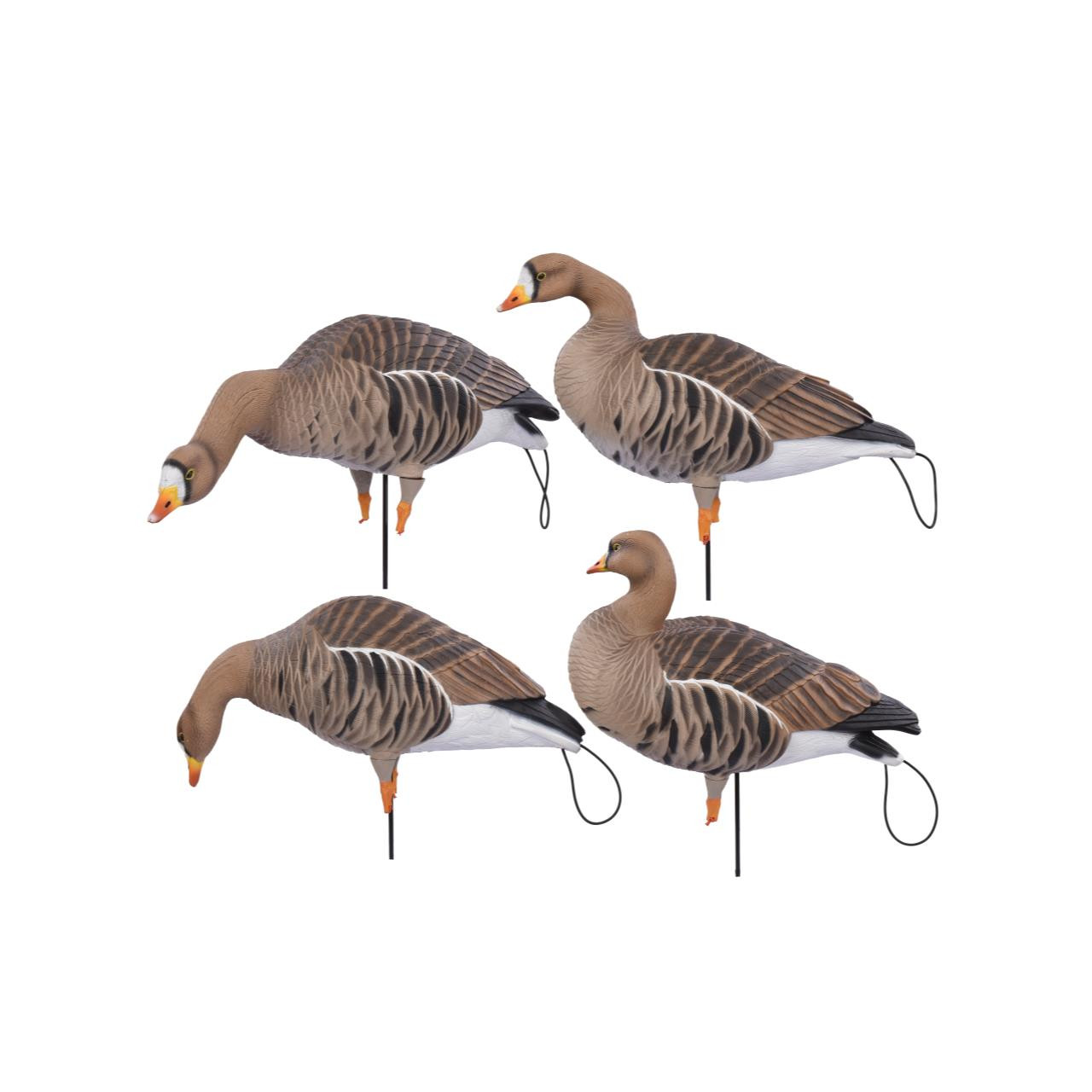 Avery GHG Pro Flex Series Specklebelly Goose Full Body Decoys- 1 Dozen ...