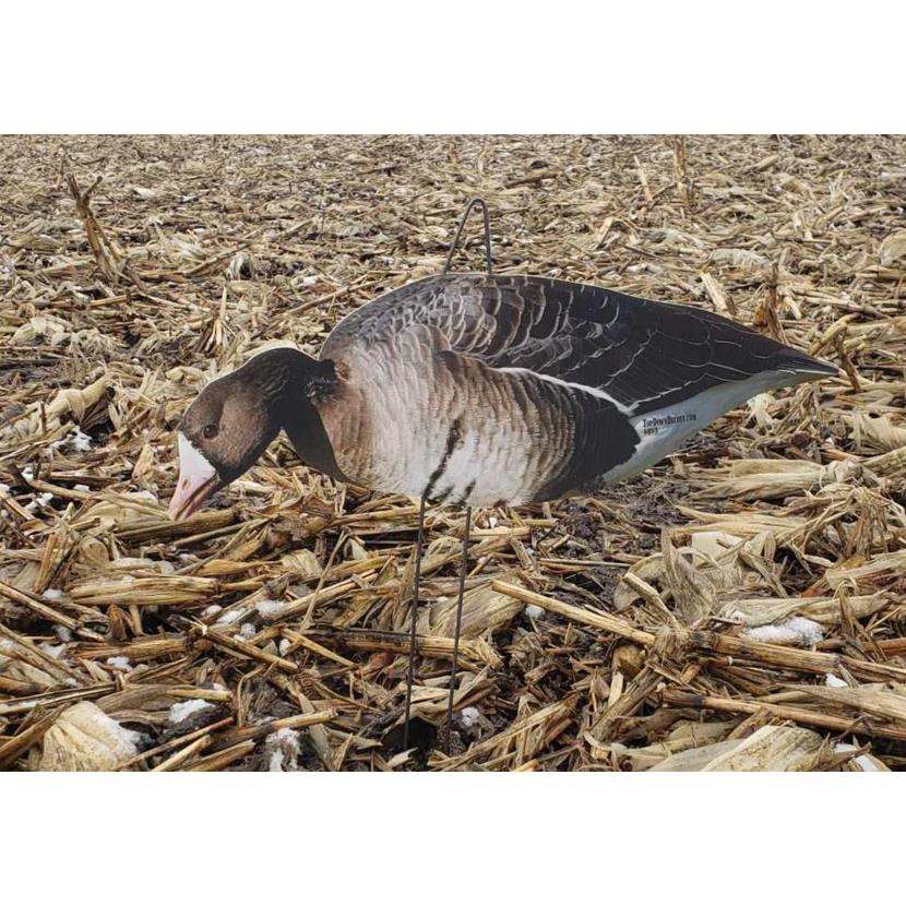 Top Down Vertical Silhouette Specklebelly Goose Decoys - 1doz ...