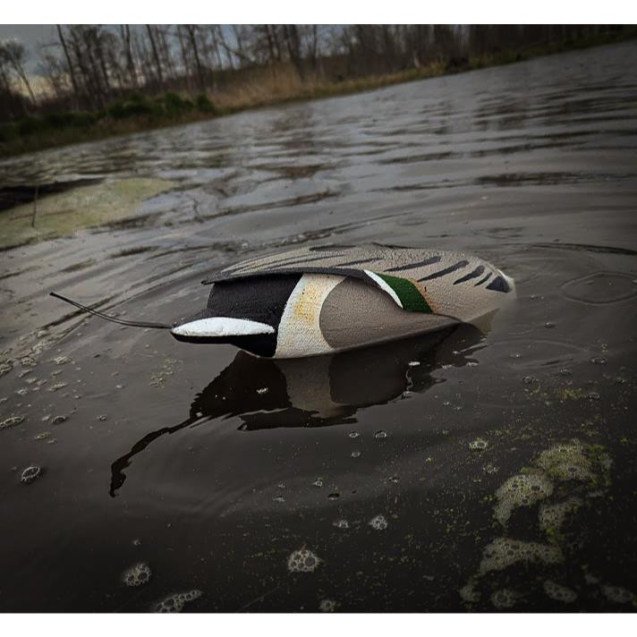Duck Creek Decoy Company Flashback 2 Pintail Drake Motion Decoy ...