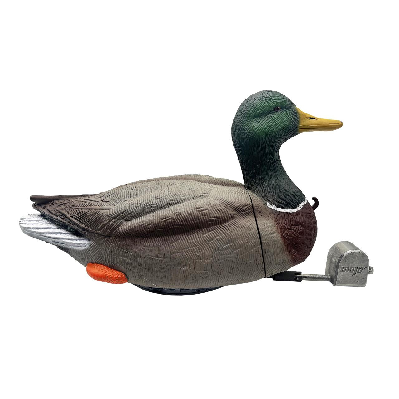 MOJO Dabbler Duck Mallard Drake - Presleys Outdoors