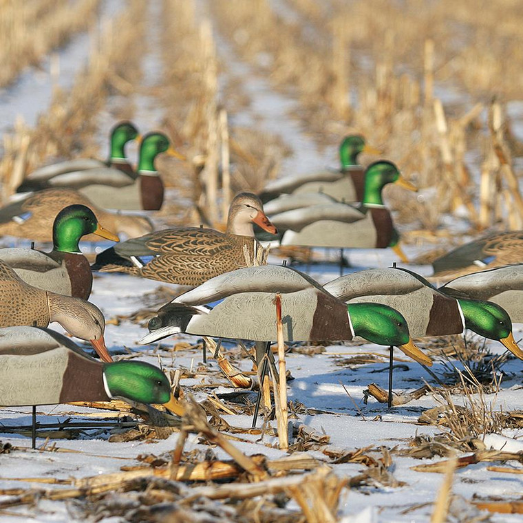 Avery GHG Over Size Mallard Duck Shell Decoys - 1 Dozen Harvester Pack ...