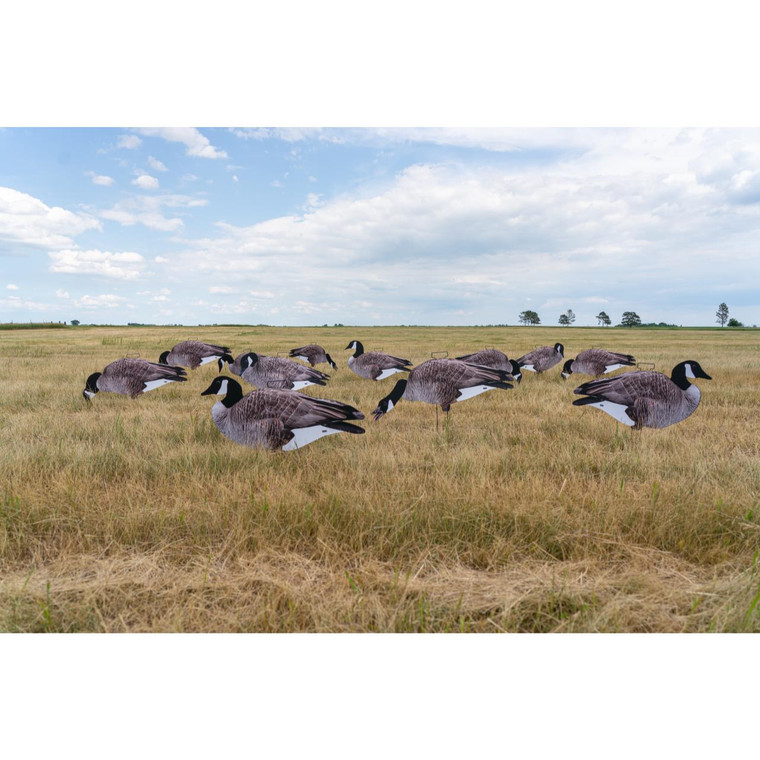 Avery GHG Pro Grade Canada Goose Silhouette Decoys-1 doz-77004 ...